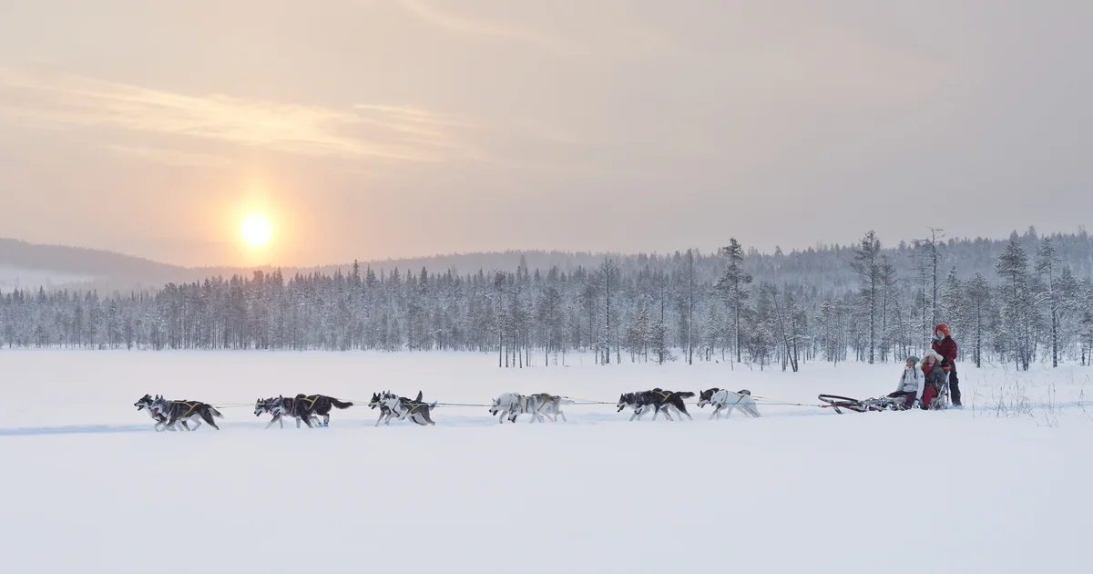 Transun | Northern Lights, Arctic Circle & Lapland Holidays